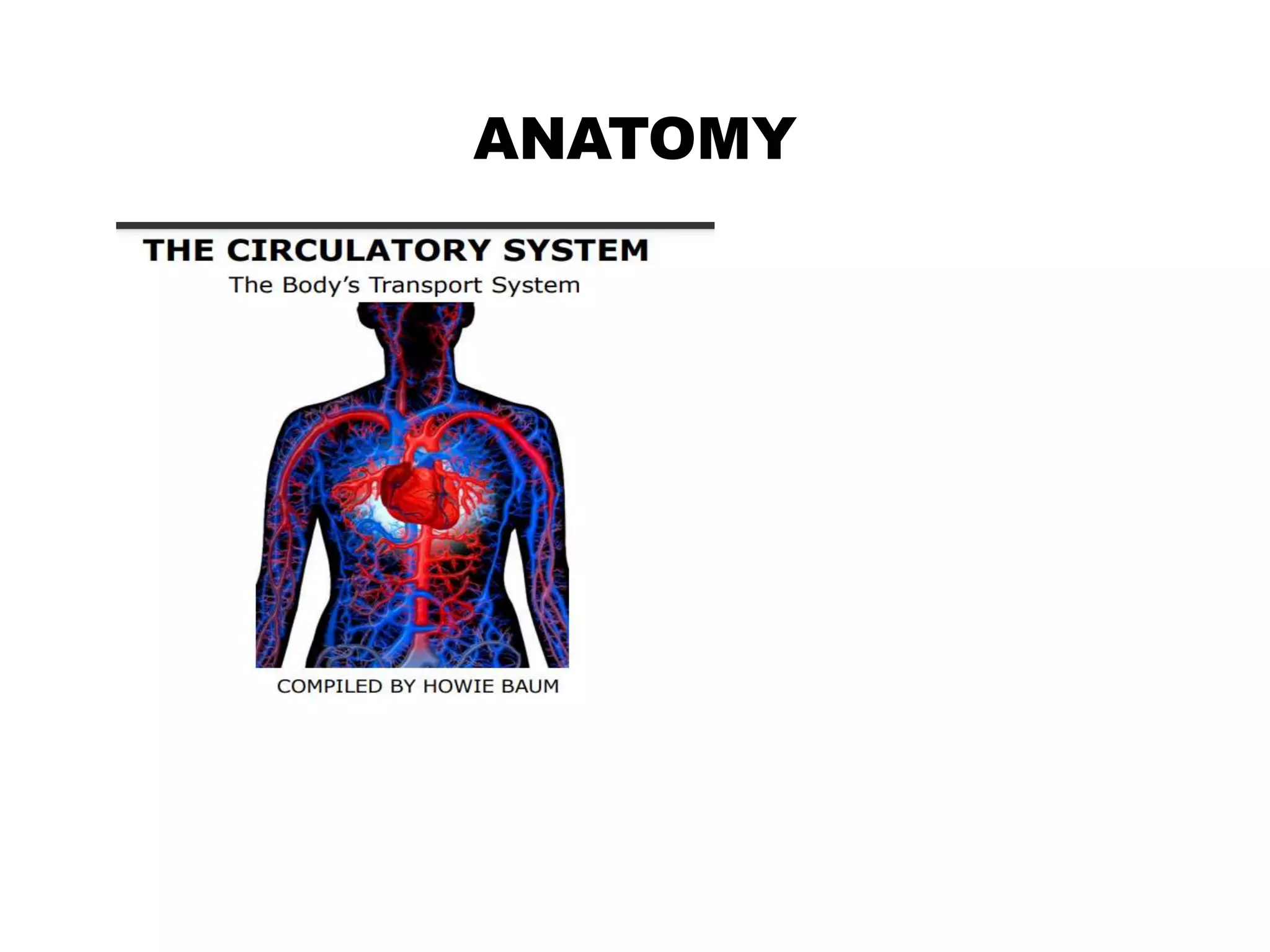 ANATOMY AND PHYSIOLOGY II.ppt