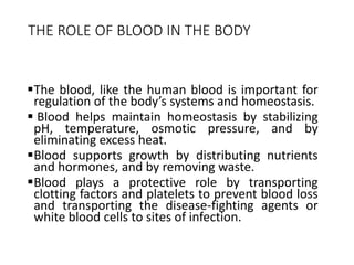 ANATOMY AND PHYSIOLOGY II.ppt