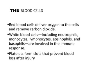 ANATOMY AND PHYSIOLOGY II.ppt