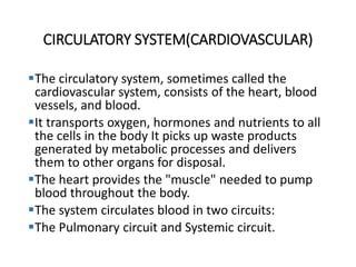ANATOMY AND PHYSIOLOGY II.ppt
