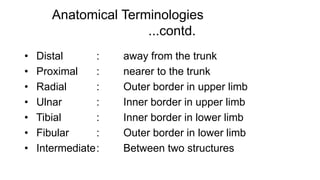 Anatomy and Physiology Intro | PPTX