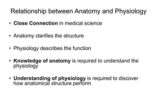 Anatomy and Physiology Intro | PPTX