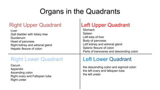 Anatomy and Physiology Intro | PPTX
