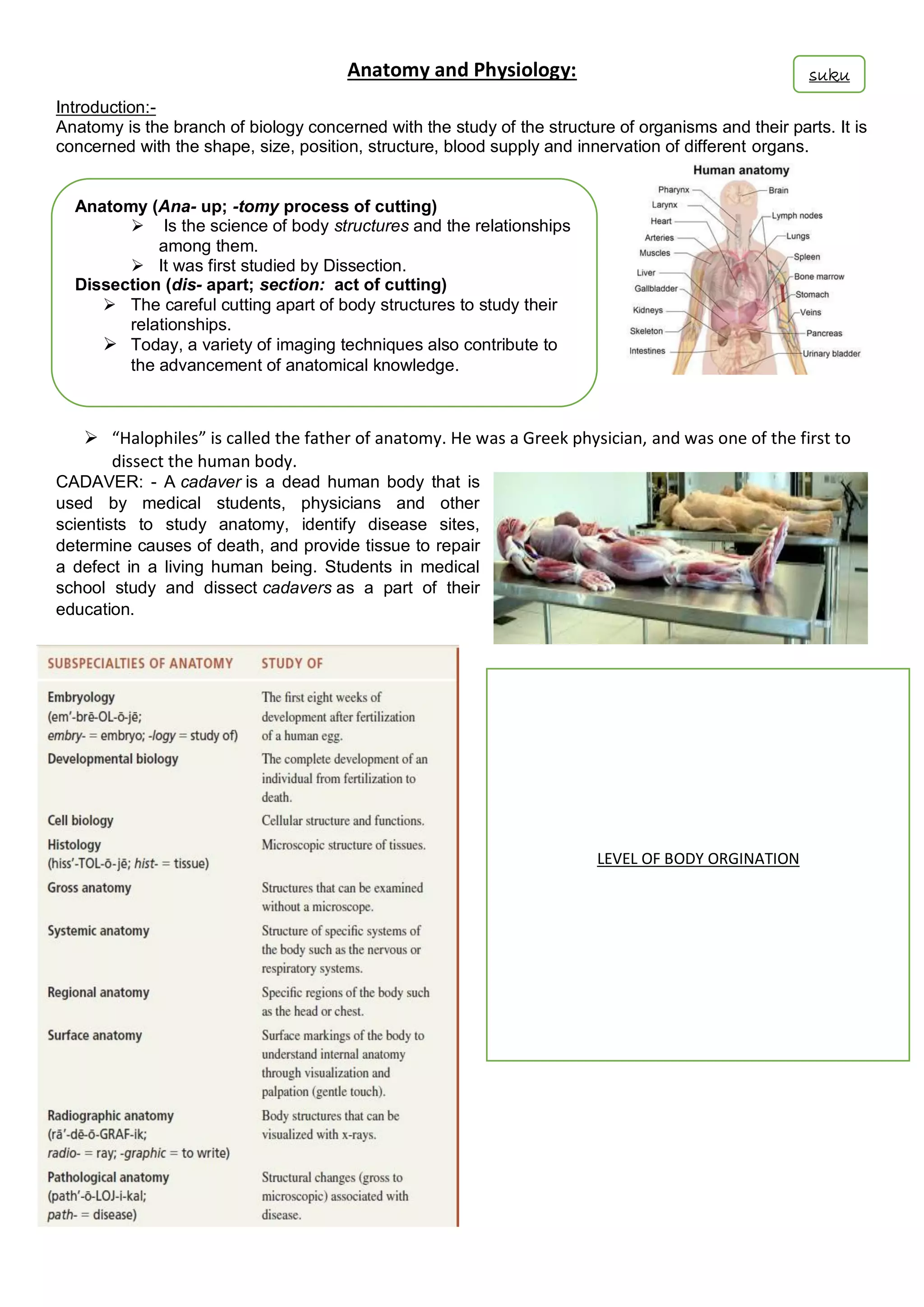 Anatomy and physiology introduction | PDF