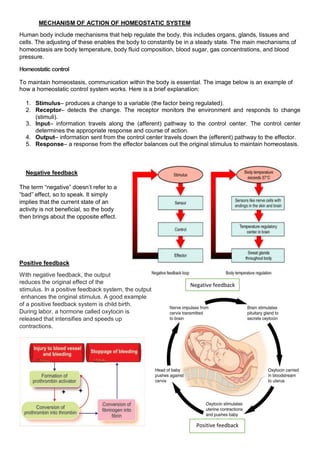 Anatomy and physiology introduction | PDF