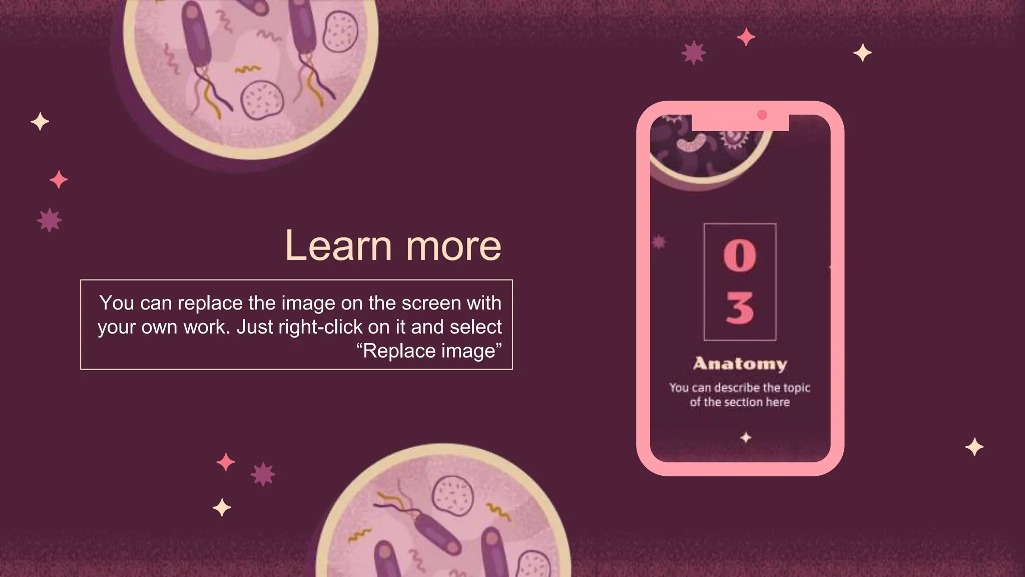 Anatomy and Physiology Major for College_ Cell Biology by Slidesgo.pptx