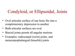 Anatomy and physiology musculoskeletal | PPT