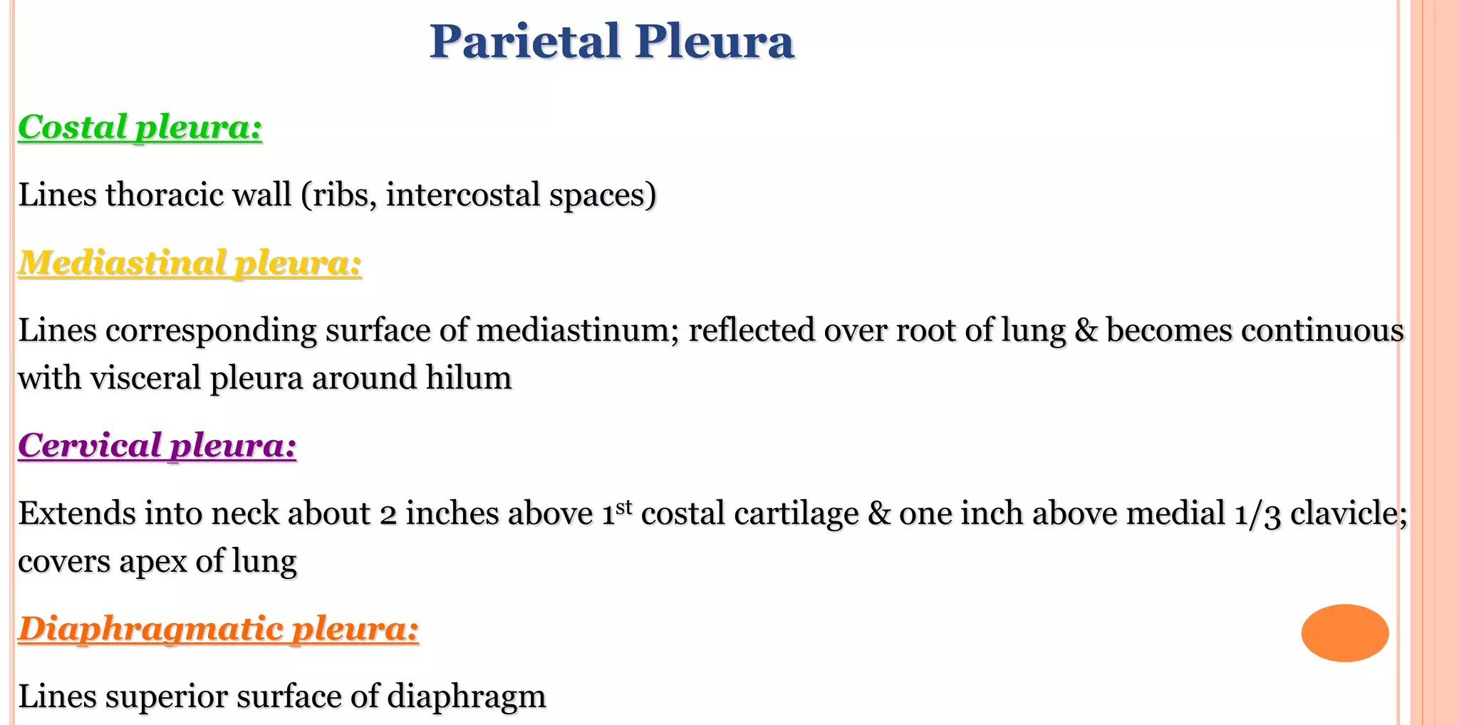Anatomy and physiology of lung | PPTX