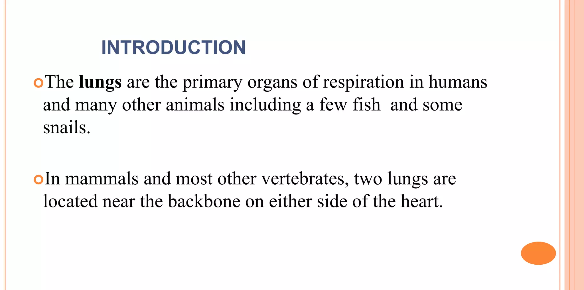 Anatomy and physiology of lung | PPTX