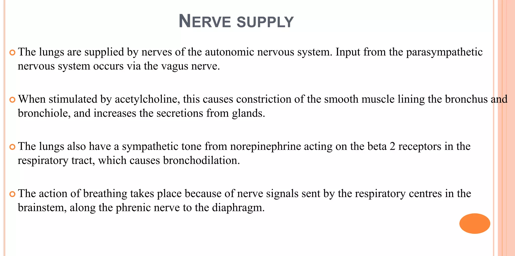 Anatomy and physiology of lung | PPTX