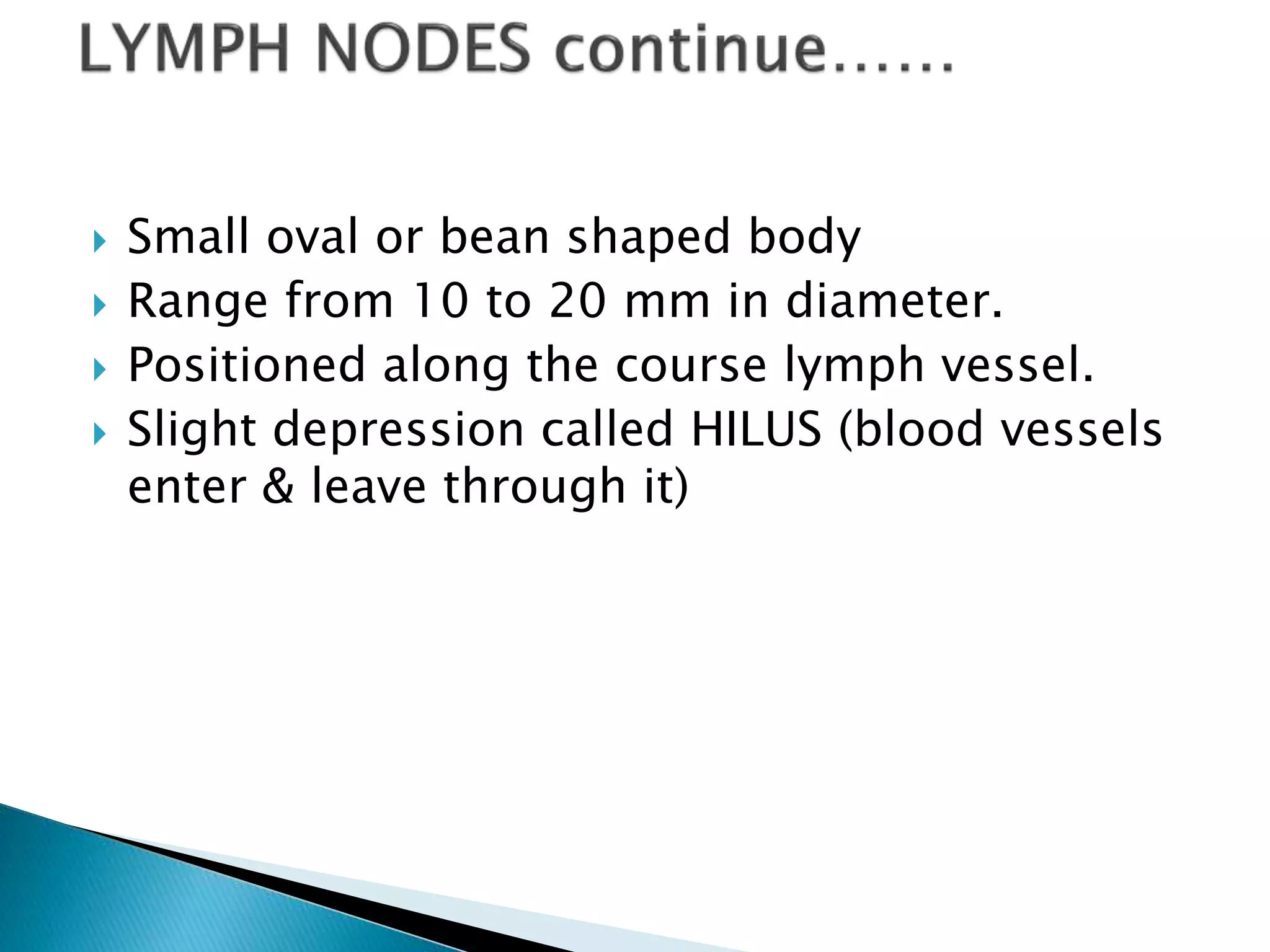 Anatomy and physiology of Lymphatic System | PPTX