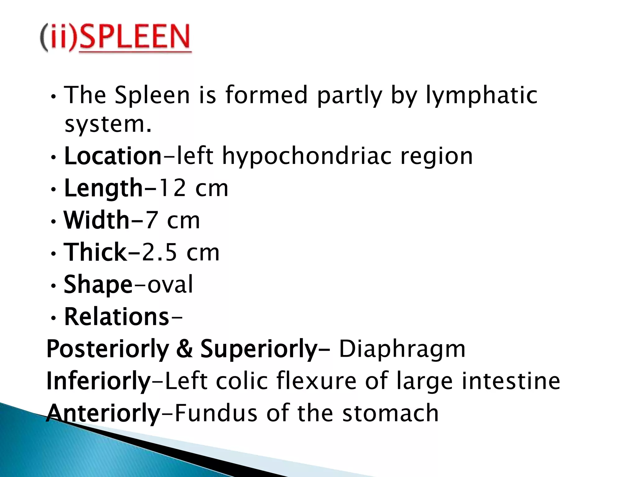 Anatomy and physiology of Lymphatic System | PPTX