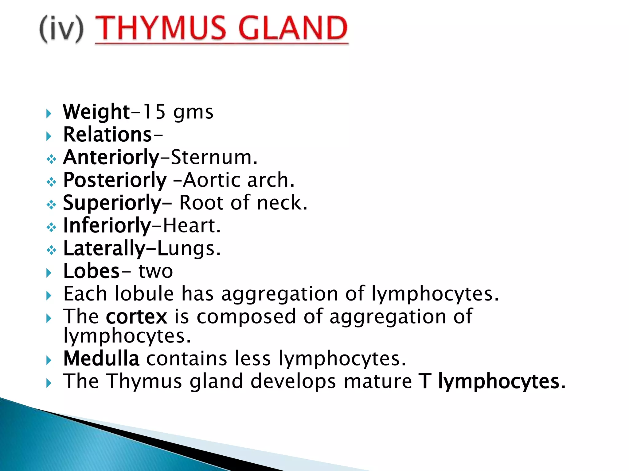 Anatomy and physiology of Lymphatic System | PPTX