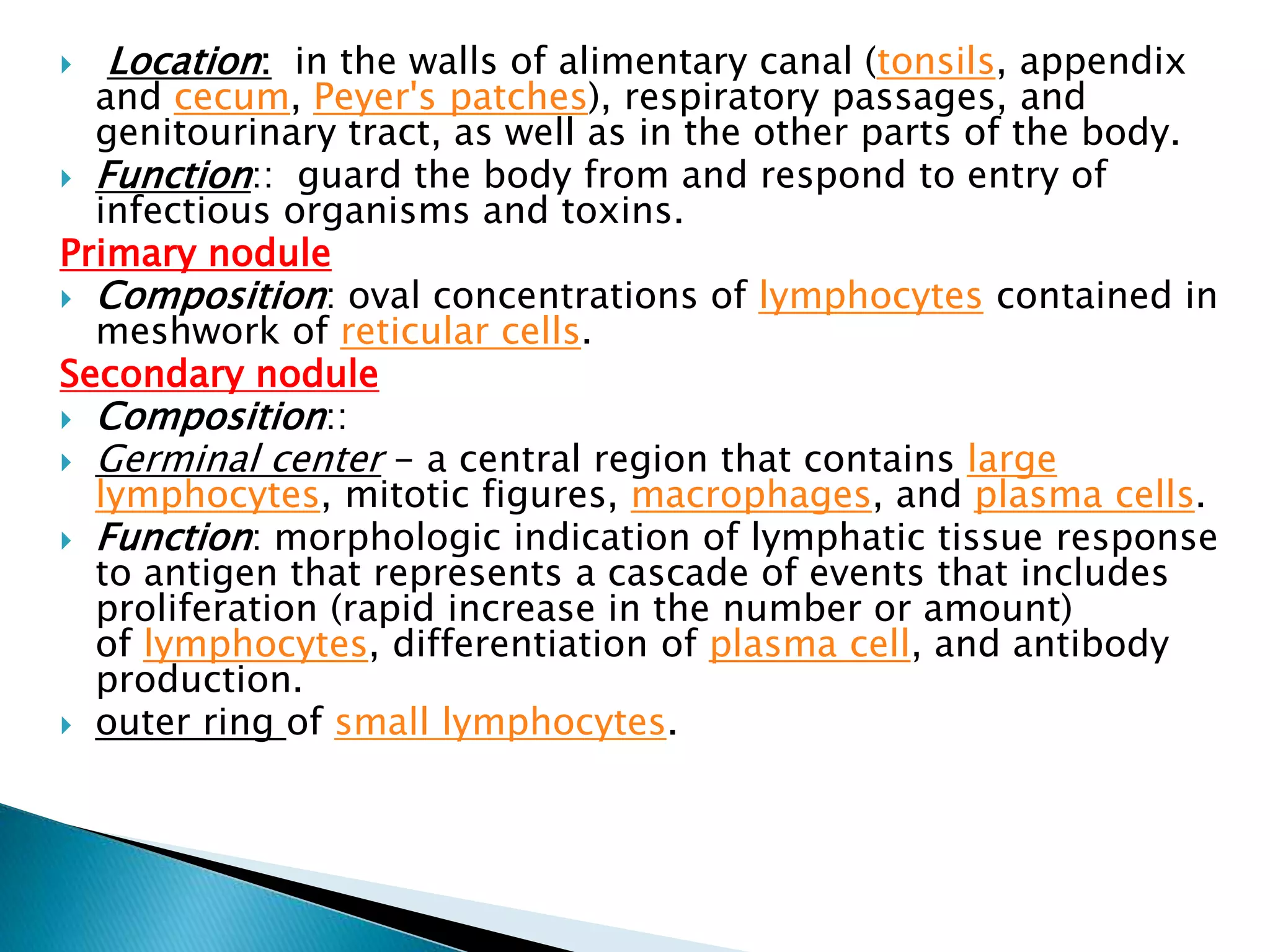 Anatomy and physiology of Lymphatic System | PPTX