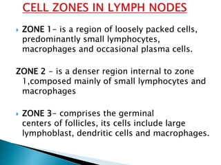 Anatomy and physiology of Lymphatic System | PPTX