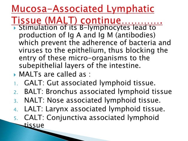 Anatomy and physiology of Lymphatic System | PPTX