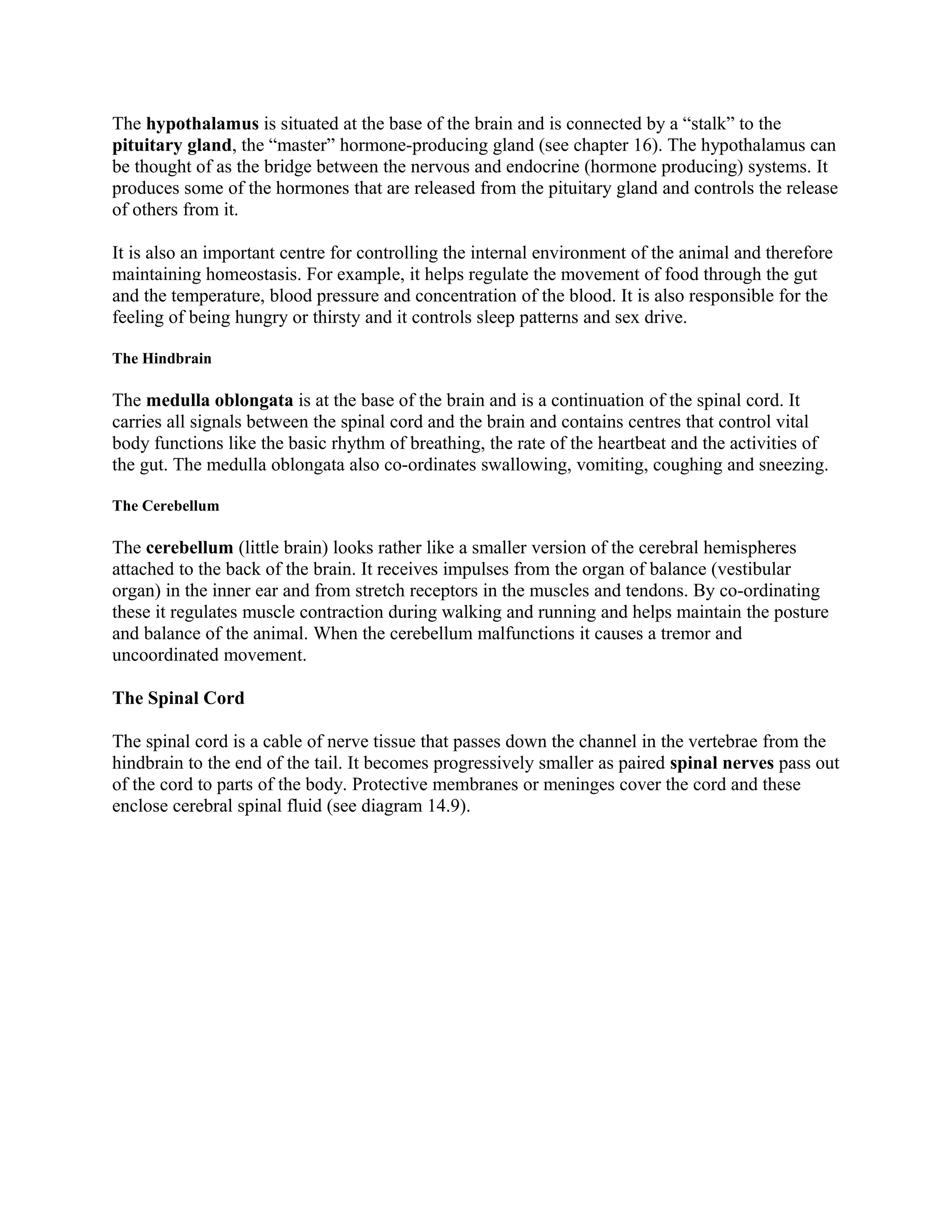 Anatomy and physiology of animals | DOC