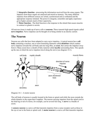 Anatomy and physiology of animals | DOC