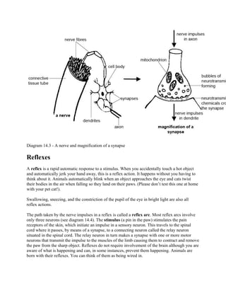 Anatomy and physiology of animals | DOC
