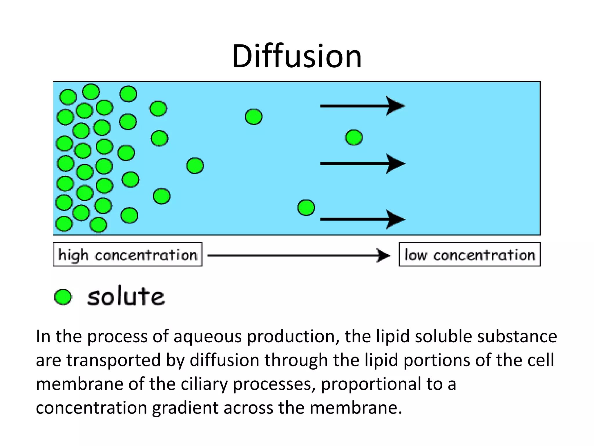Anatomy and physiology of aqueous humor | PPTX
