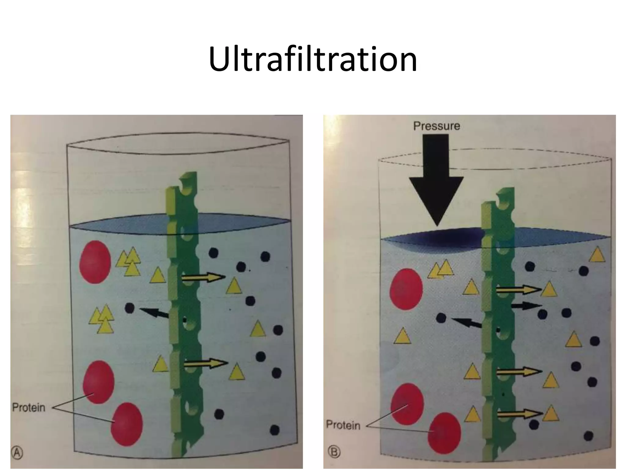 Anatomy and physiology of aqueous humor | PPTX
