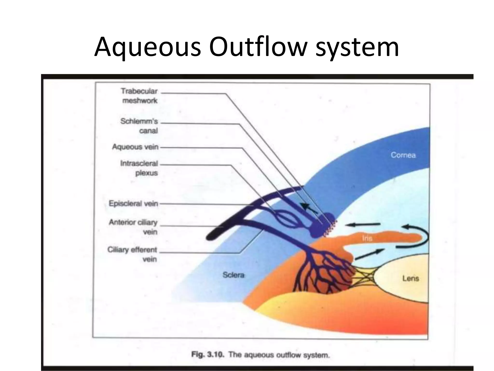 Anatomy and physiology of aqueous humor | PPTX