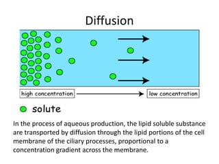 Anatomy and physiology of aqueous humor | PPTX