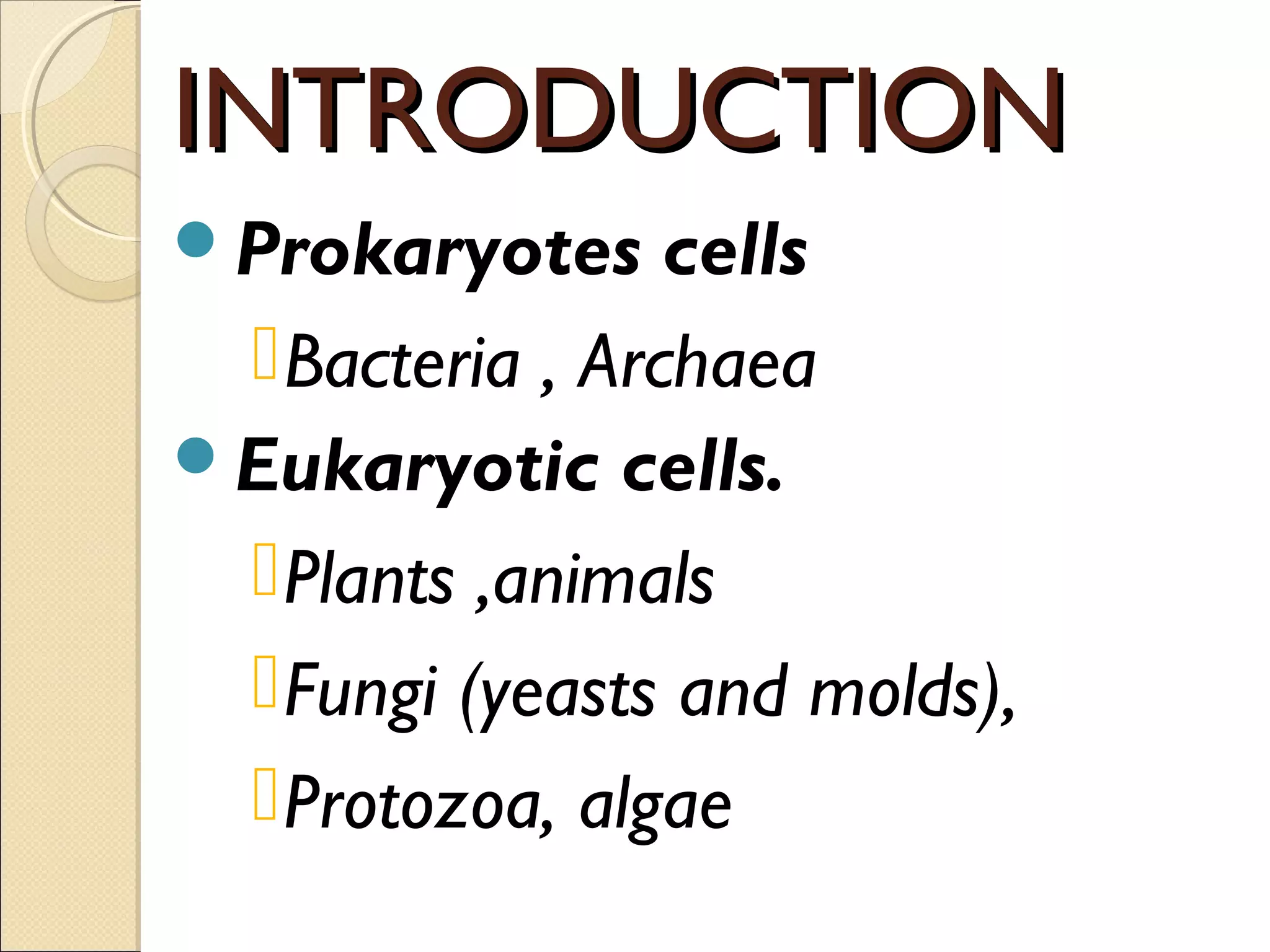 Anatomy and physiology of bacteria | PPT