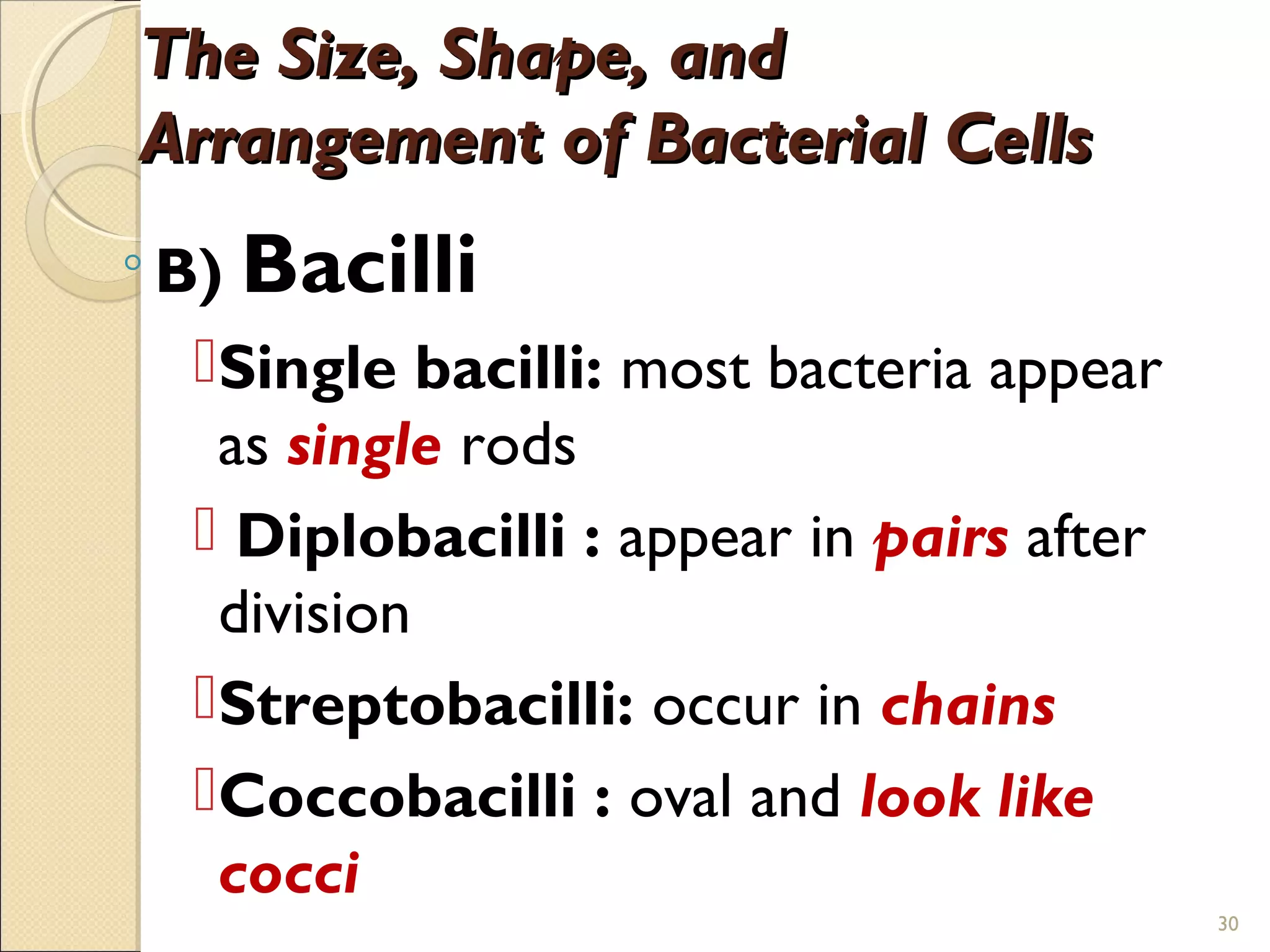 Anatomy and physiology of bacteria | PPT