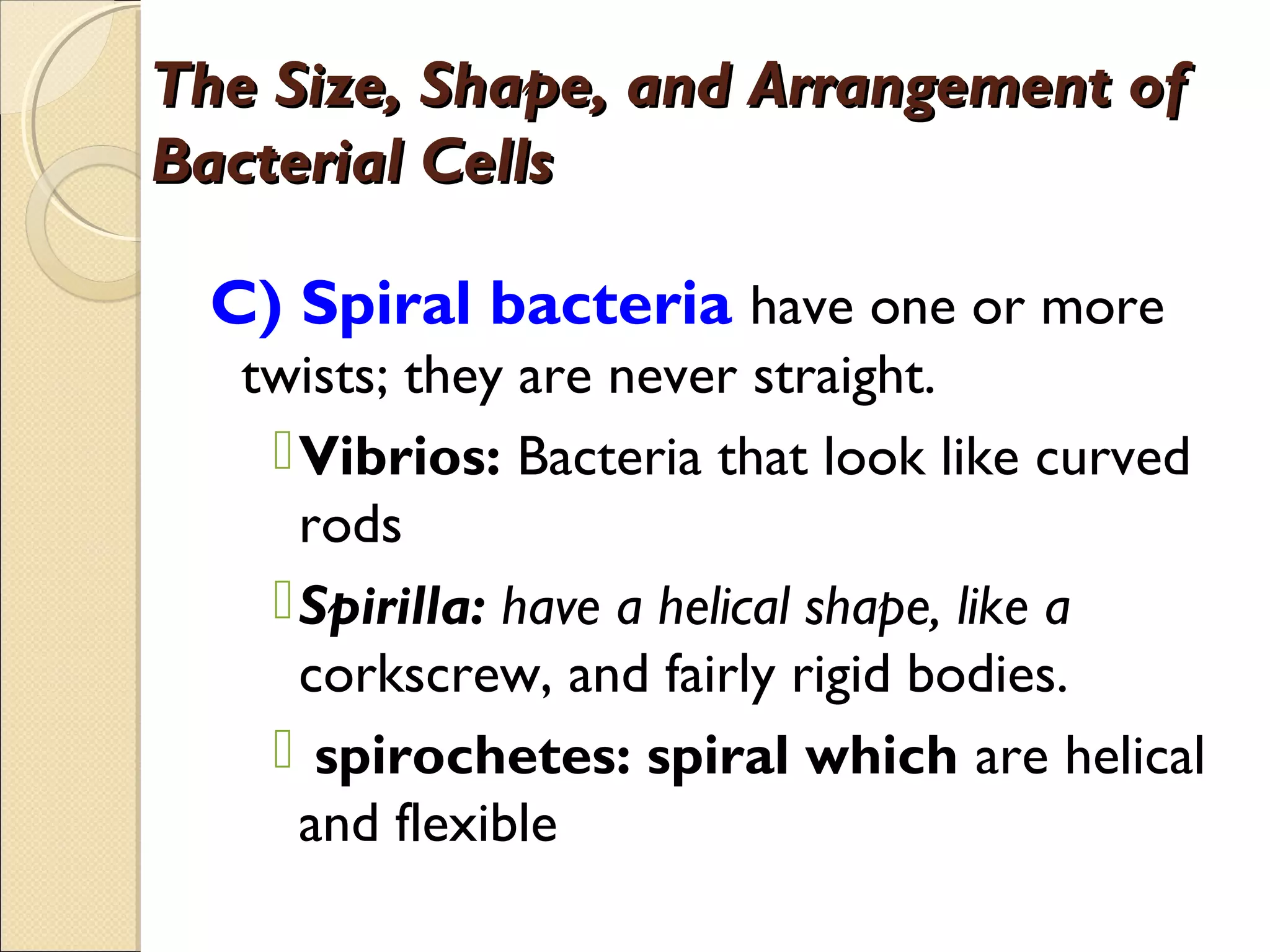 Anatomy and physiology of bacteria | PPT