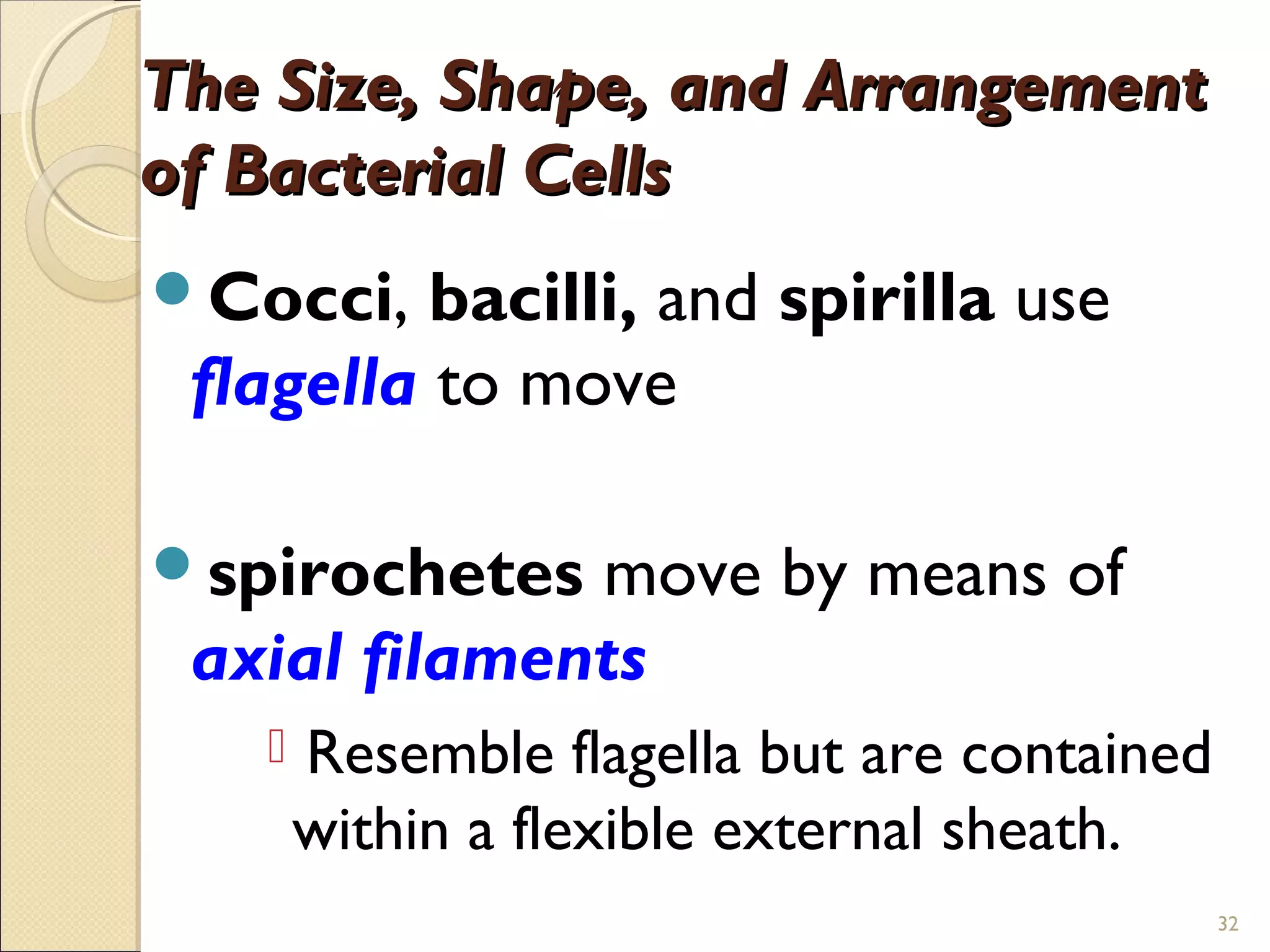 Anatomy and physiology of bacteria | PPT