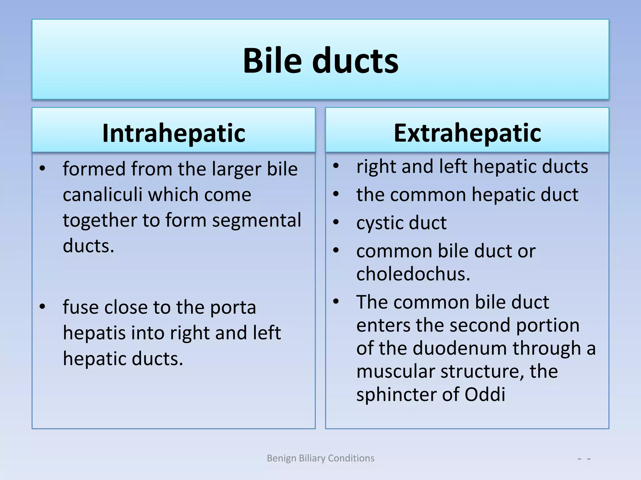 Anatomy and physiology of biliary tree | PPTX