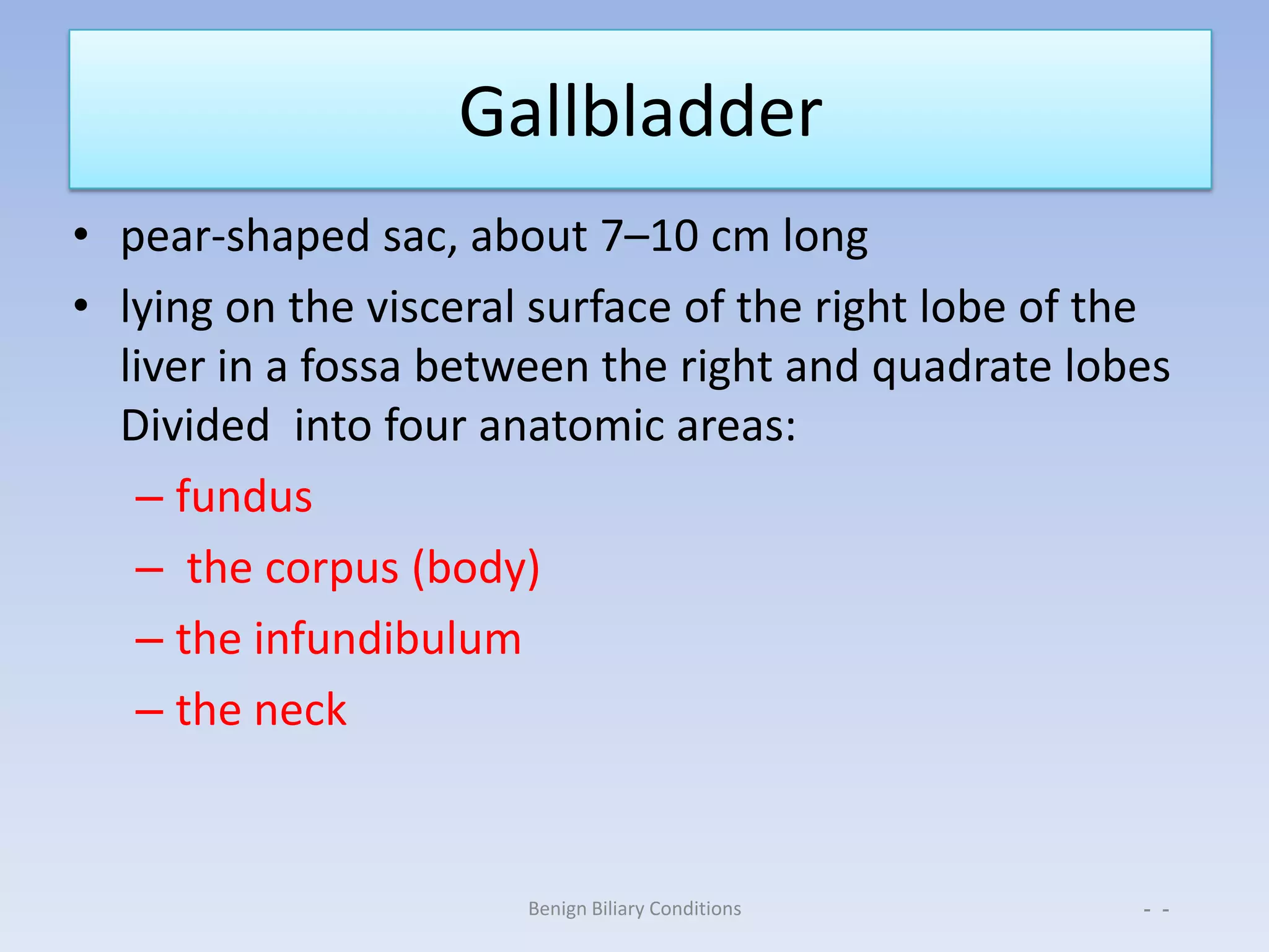 Anatomy and physiology of biliary tree | PPTX