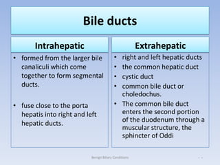 Anatomy and physiology of biliary tree | PPTX
