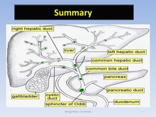 Anatomy and physiology of biliary tree | PPTX