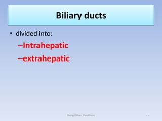 Anatomy and physiology of biliary tree | PPTX