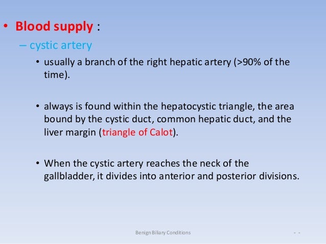 Anatomy and physiology of biliary tree