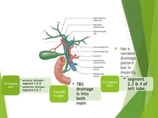 anatomy and physiologyofbiliarytree.pptx