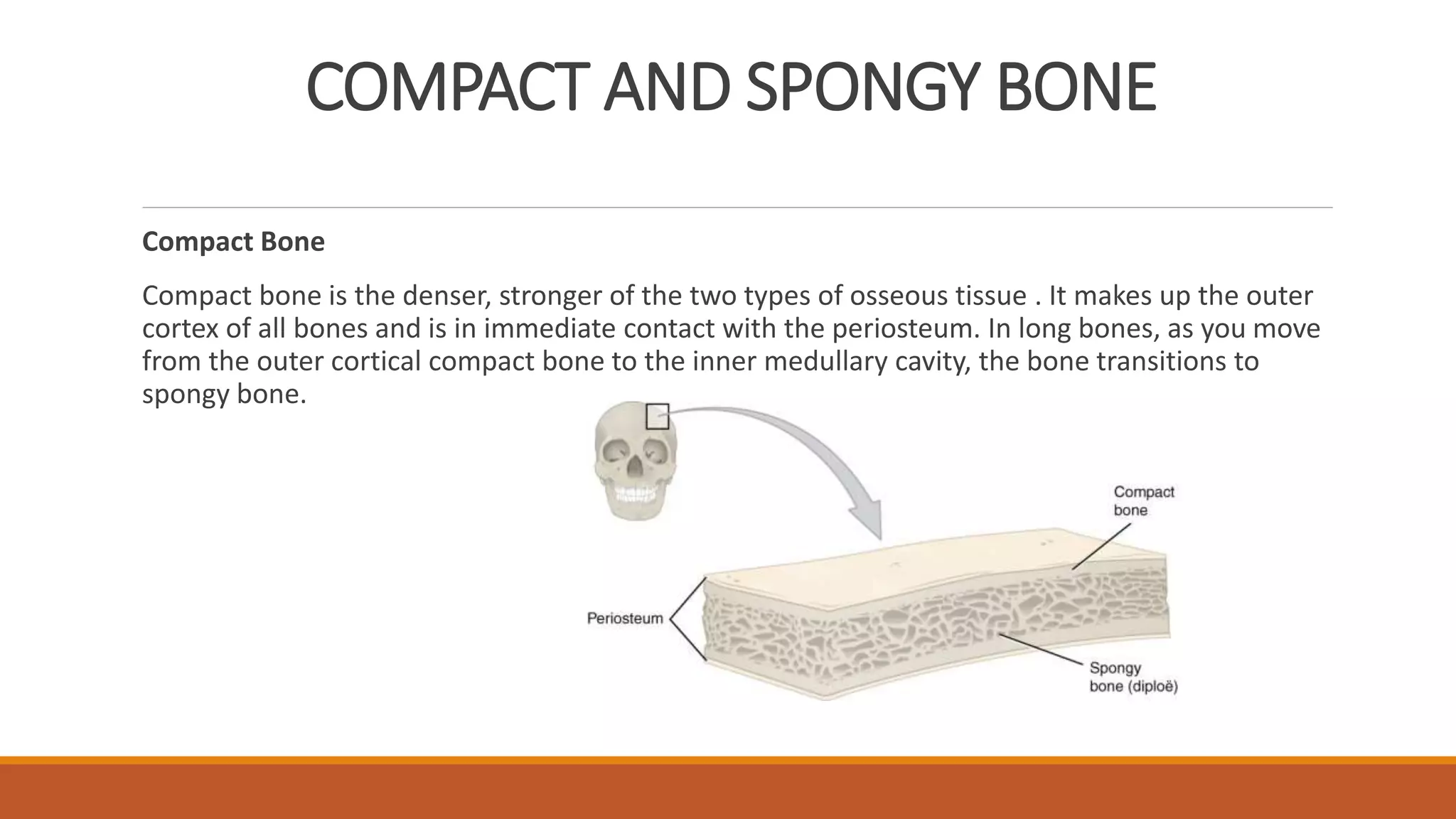 ANATOMY AND PHYSIOLOGY OF BONES AJ.pptx