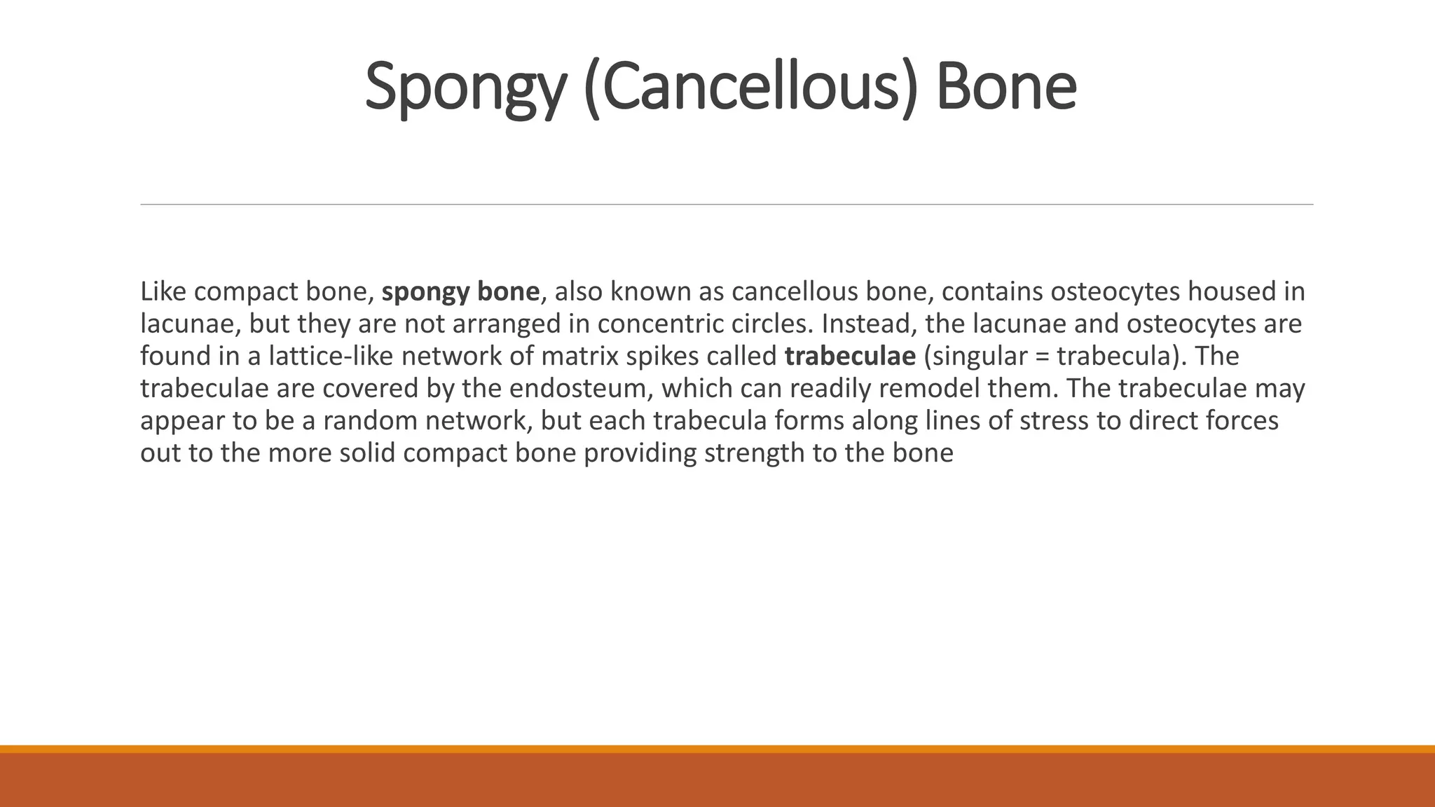 ANATOMY AND PHYSIOLOGY OF BONES AJ.pptx