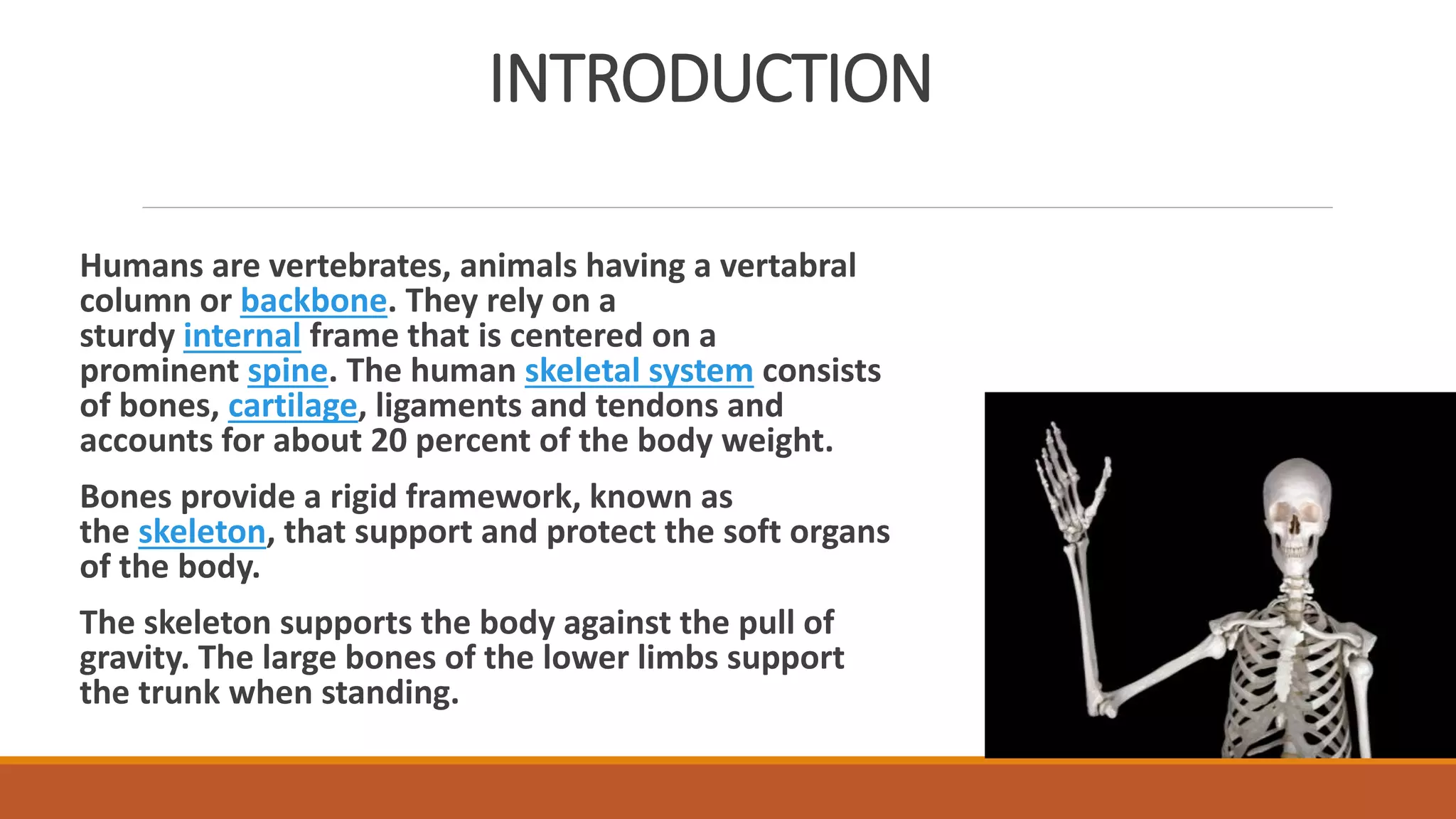 ANATOMY AND PHYSIOLOGY OF BONES AJ.pptx