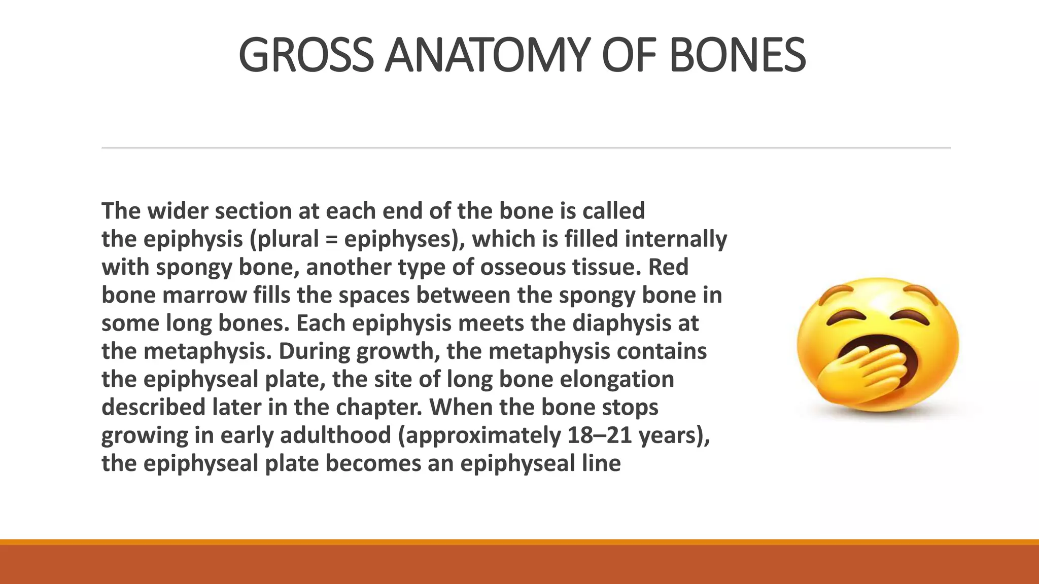 ANATOMY AND PHYSIOLOGY OF BONES AJ.pptx