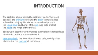 ANATOMY AND PHYSIOLOGY OF BONES AJ.pptx