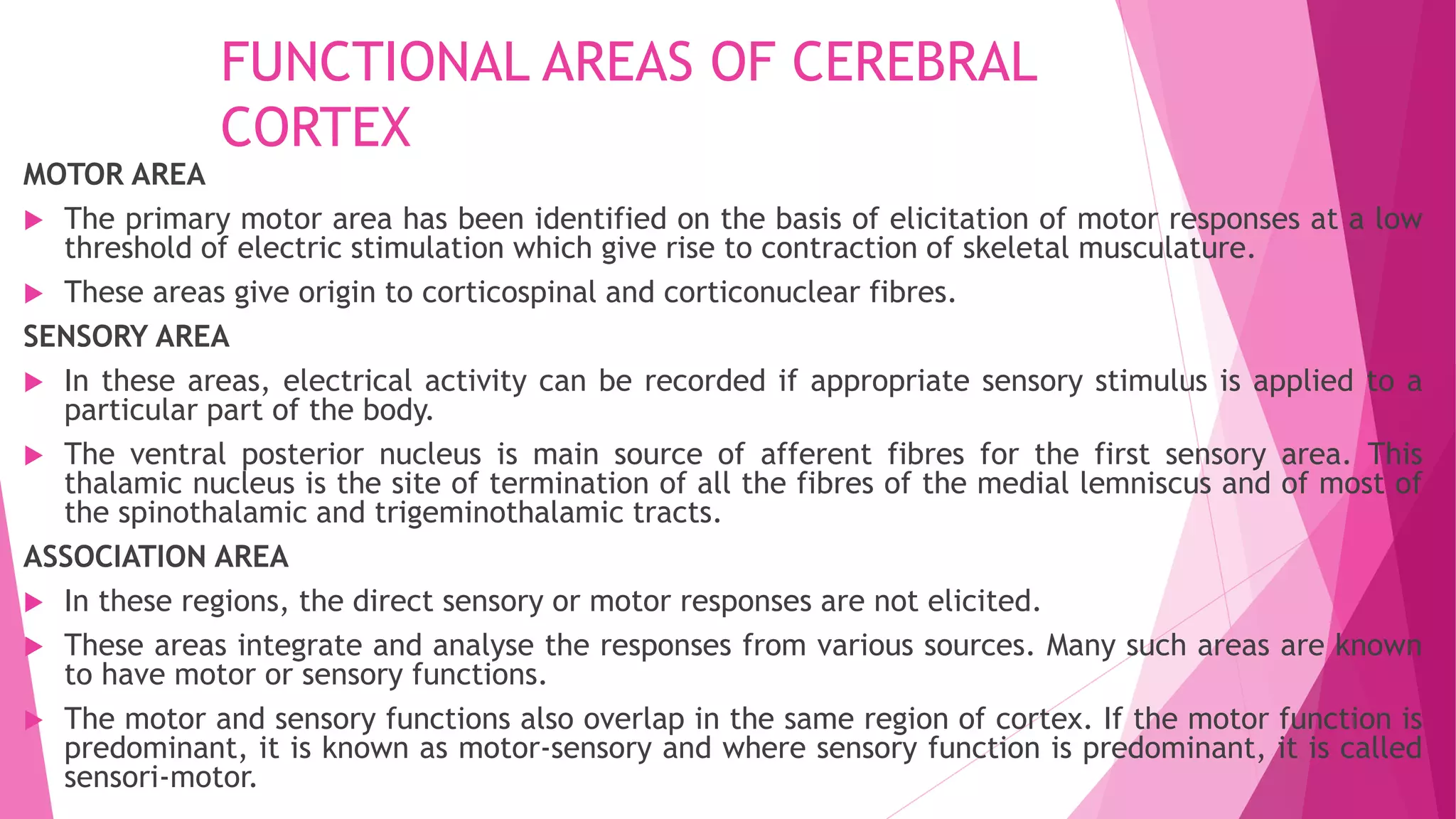 Anatomy and physiology of brain | PPTX
