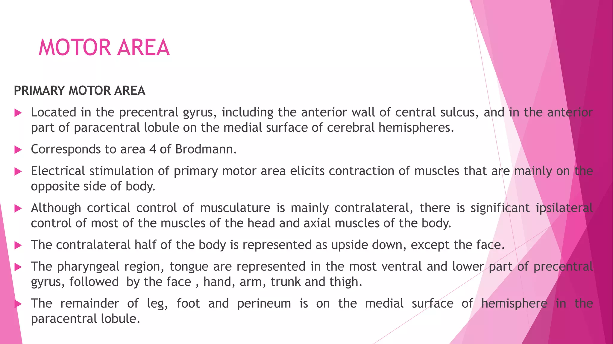 Anatomy and physiology of brain | PPTX