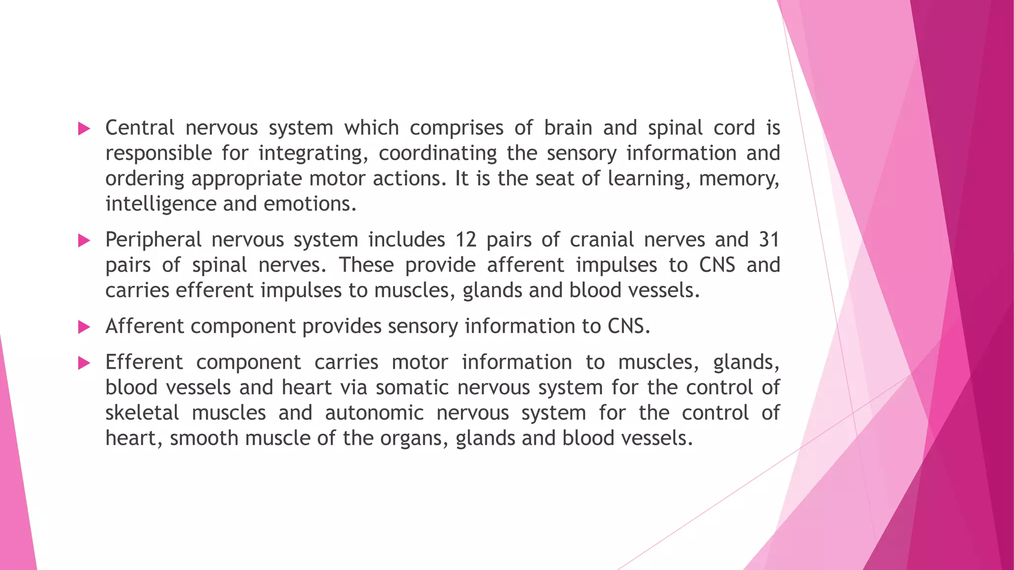 Anatomy and physiology of brain | PPTX