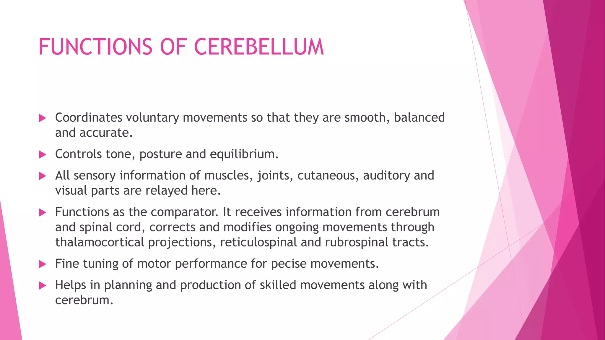 Anatomy and physiology of brain | PPTX