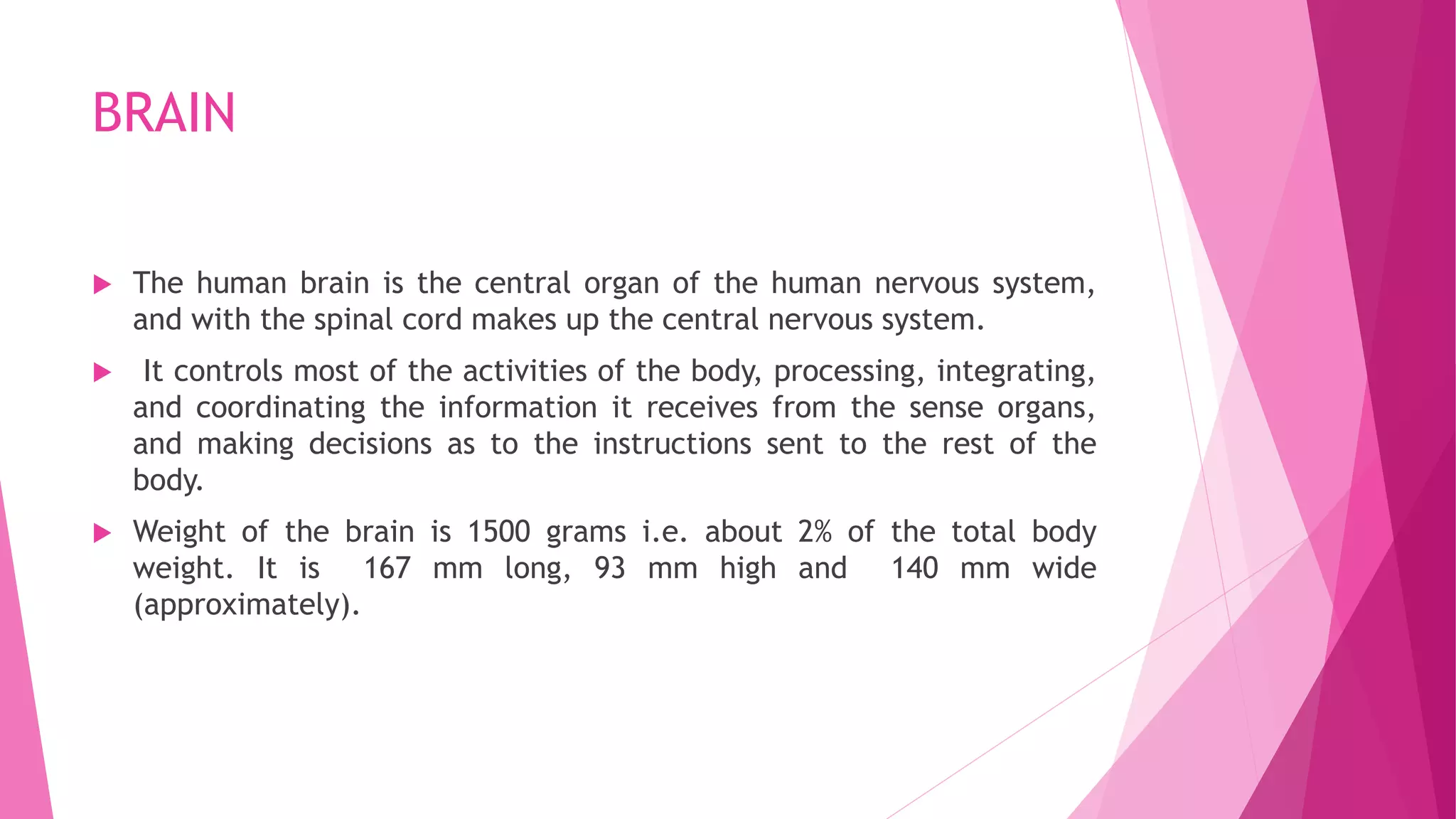 Anatomy and physiology of brain | PPTX