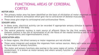Anatomy and physiology of brain | PPTX