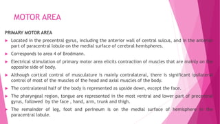Anatomy and physiology of brain | PPTX